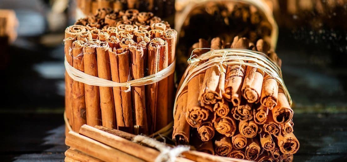 Comment pousse la cannelle