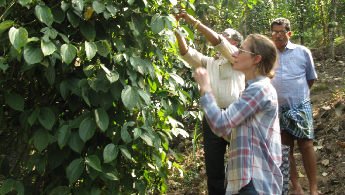 Wayanadan Black Pepper - Épices Rœllinger